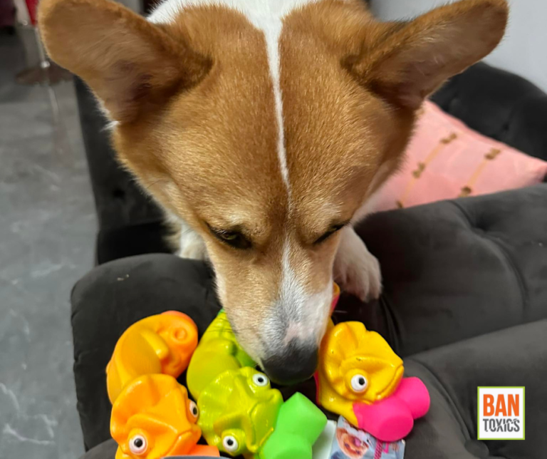 “SQUEAKY PLASTIC TOYS IS TOXIC TO PETS TOO,” says BAN Toxics – BAN Toxics